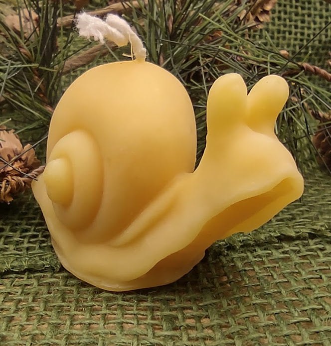 Snail – Vermont Beekeeping Supply, LLC